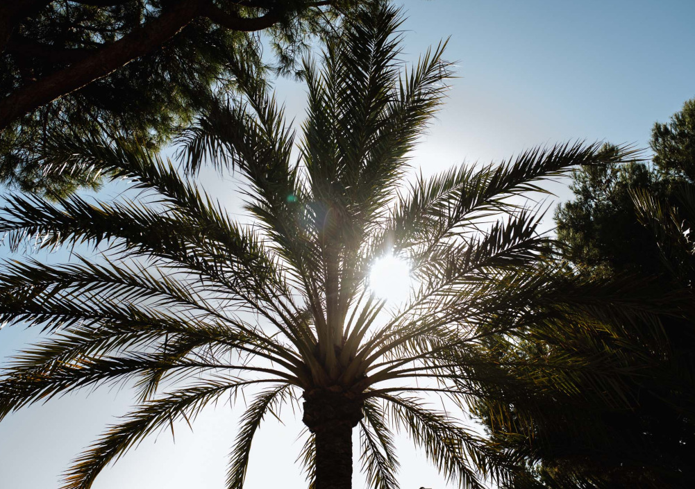 Cosy and familiar aparthotel 300m from Cala Esmeralda and near the Cala ...